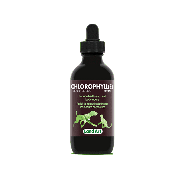 Buy Land Art, Chlorophyll Liquid for Pets, 100ml for $26.99 - Lifeplus ...